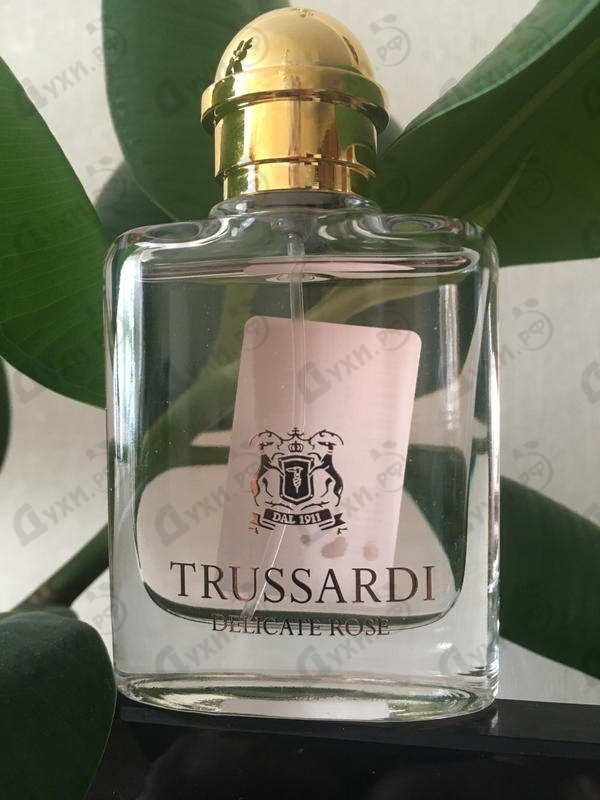 Купить Trussardi Delicate Rose на Духи.рф