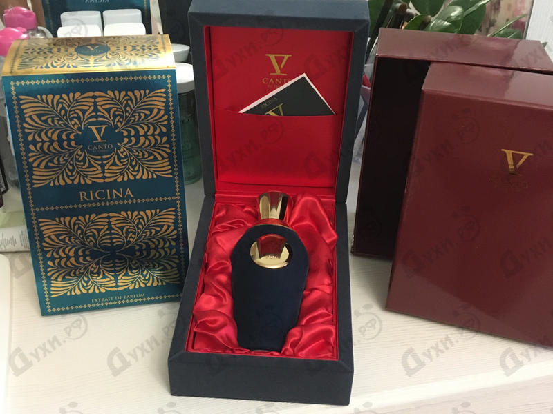 Купить V Canto Ricina на Духи.рф