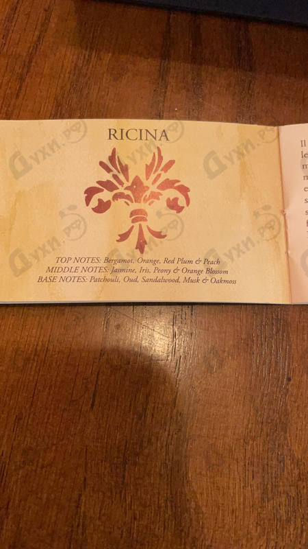 Купить V Canto Ricina на Духи.рф